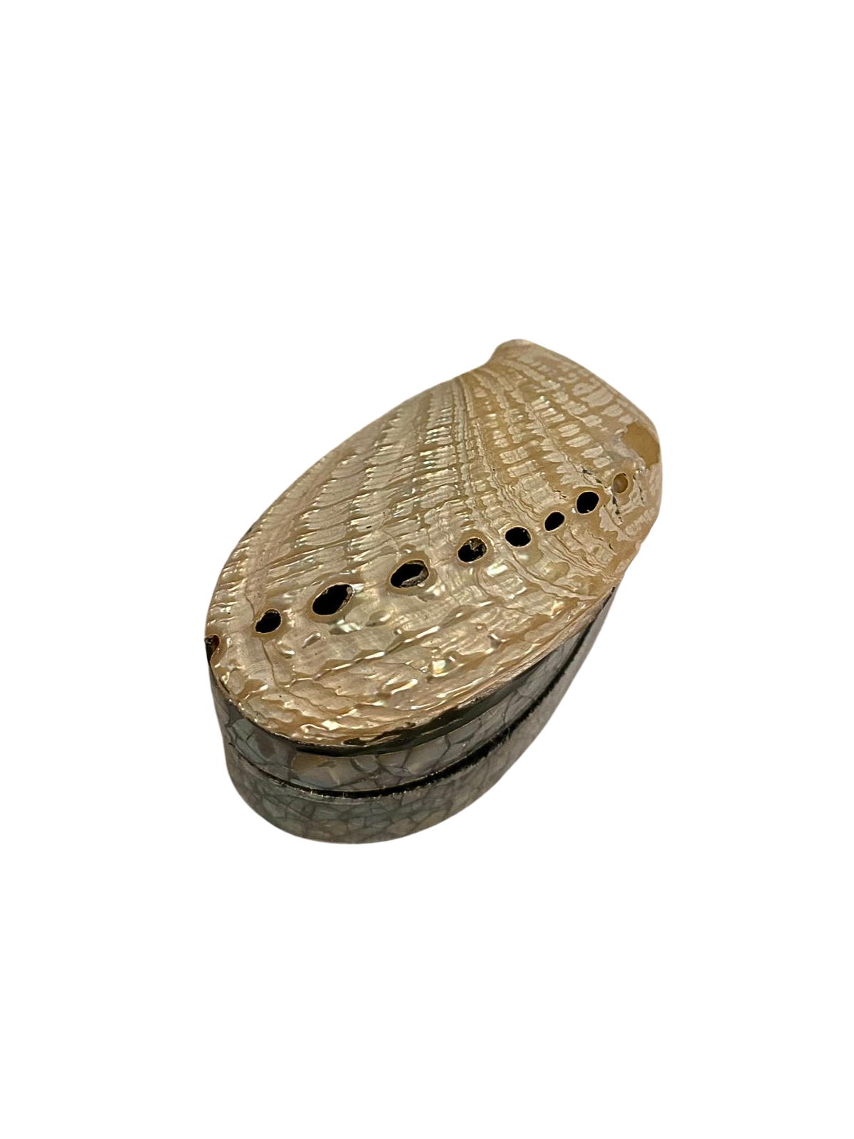 Shell jewelry box – KARAKA